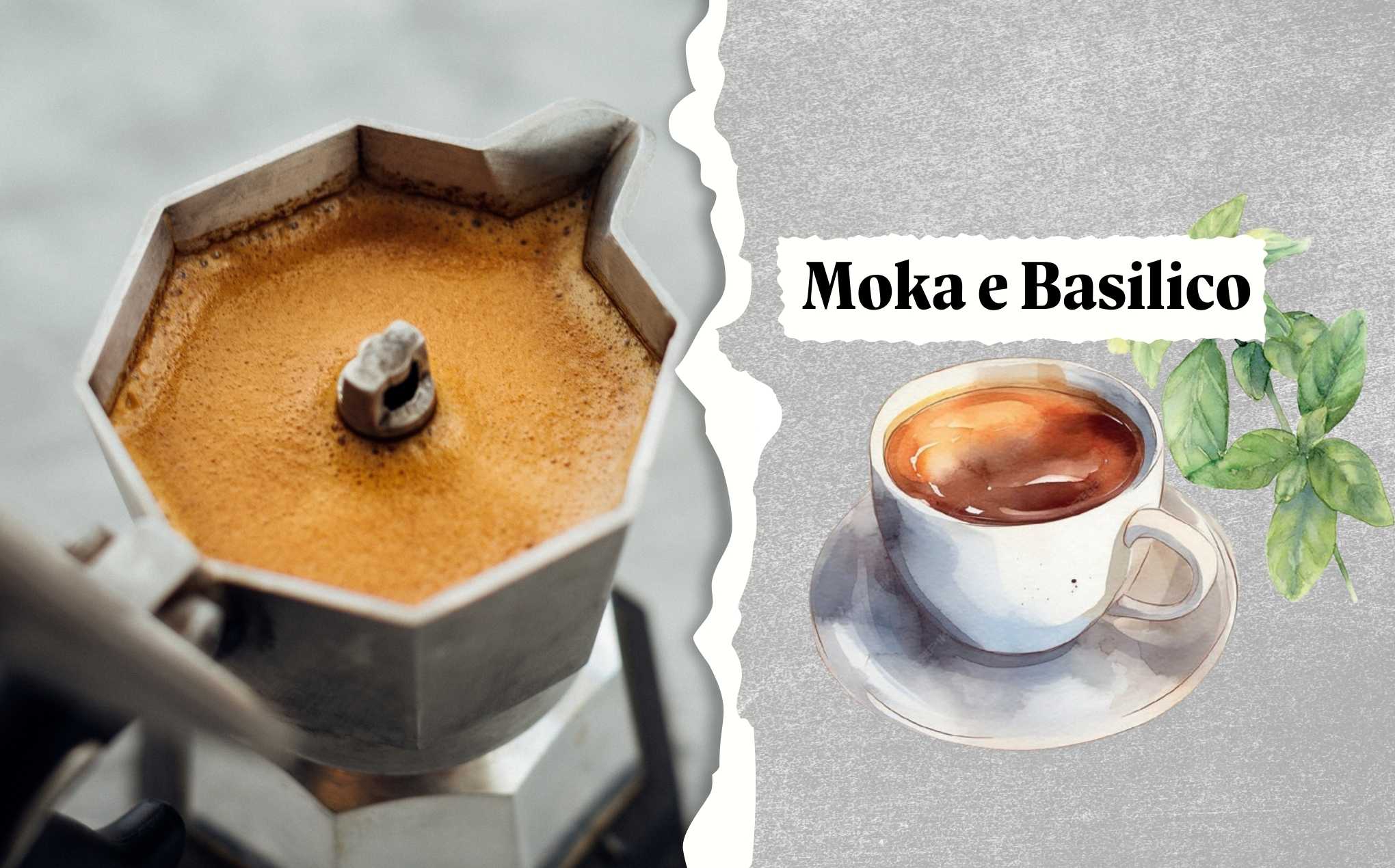 Recette Moka et Basilic - Cellini Caffè